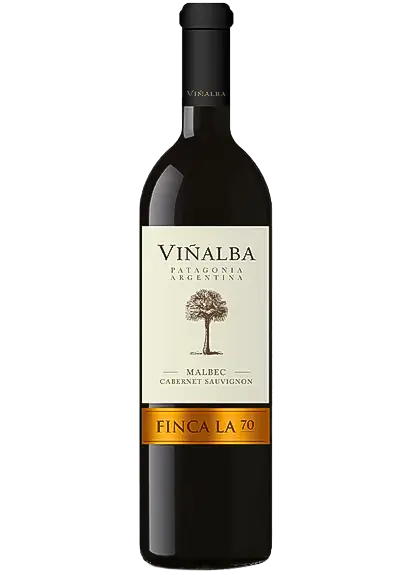 Descubra Nossos Tesouros Vinícolas | Vitrine de Vinhos | Vinho & Ponto